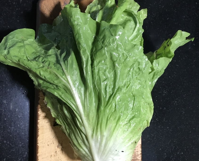 Groenlof, een groente die je misschien niet zo vaak eet, maar zeker de ...